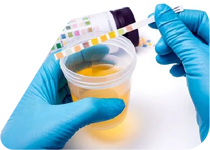 Health & Wellness Panel